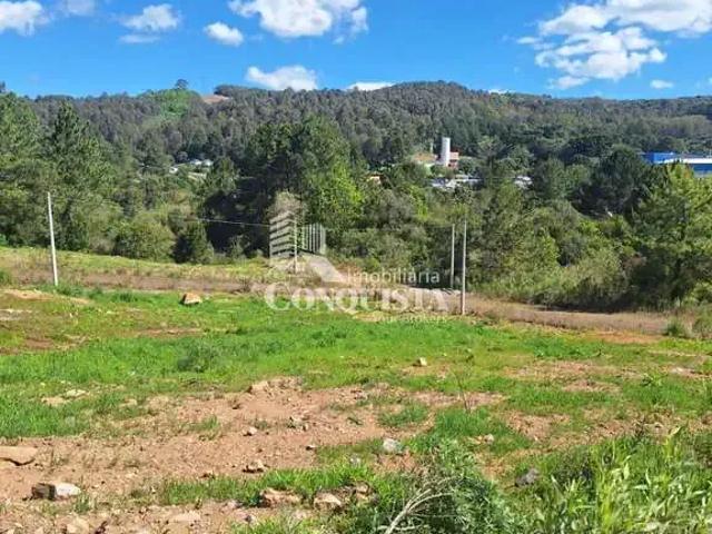 Terreno / Lote para Venda em Caxias do Sul/RS Parada Cristal