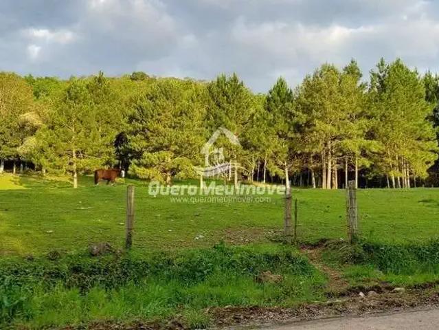 Terreno / Lote para Venda em Caxias do Sul/RS Parada Cristal
