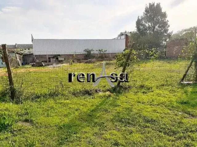 Terreno / Lote para Venda em Caxias do Sul/RS Parque Oasis