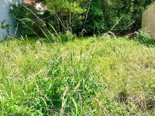 Terreno / Lote para Venda em Caxias do Sul/RS Petrópolis