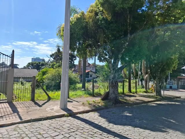 Terreno / Lote para Venda em Caxias do Sul/RS Petrópolis