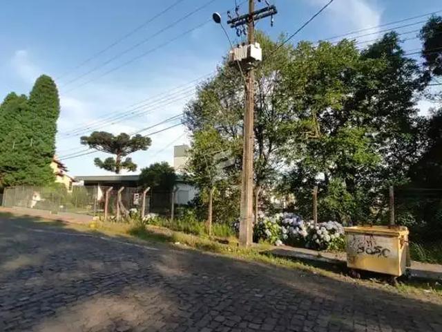 Terreno / Lote para Venda em Caxias do Sul/RS Petrópolis