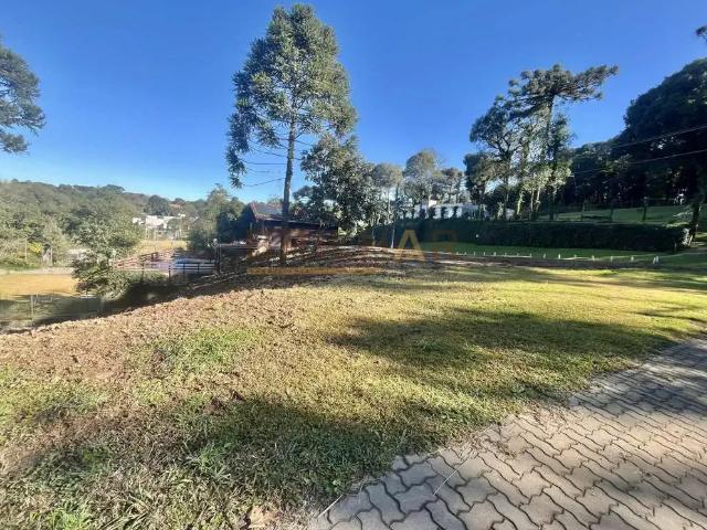 Terreno / Lote para Venda em Caxias do Sul/RS Pedancino