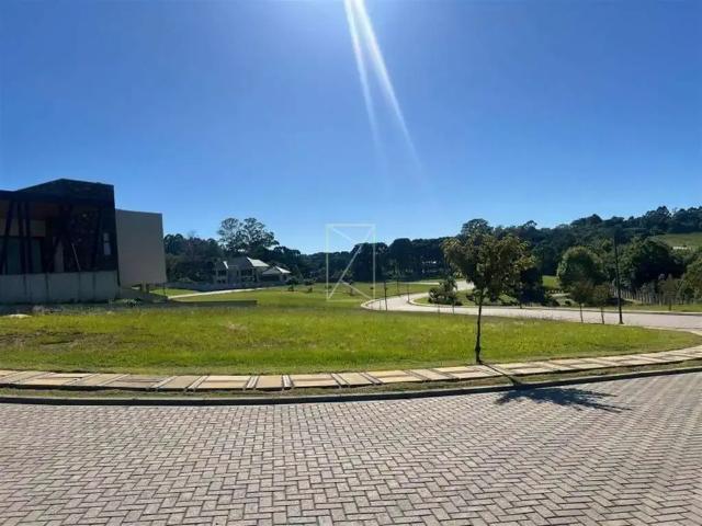 Terreno / Lote para Venda em Caxias do Sul/RS Pedancino