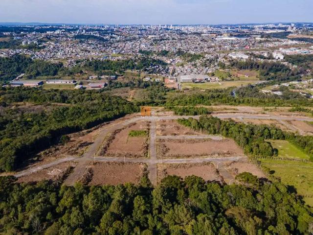 Terreno / Lote para Venda em Caxias do Sul/RS Pedancino