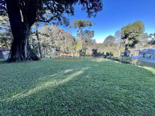 Terreno / Lote para Venda em Caxias do Sul/RS Pedancino
