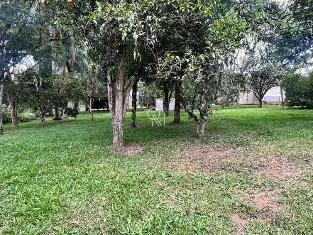 Terreno / Lote para Venda em Caxias do Sul/RS Pedancino