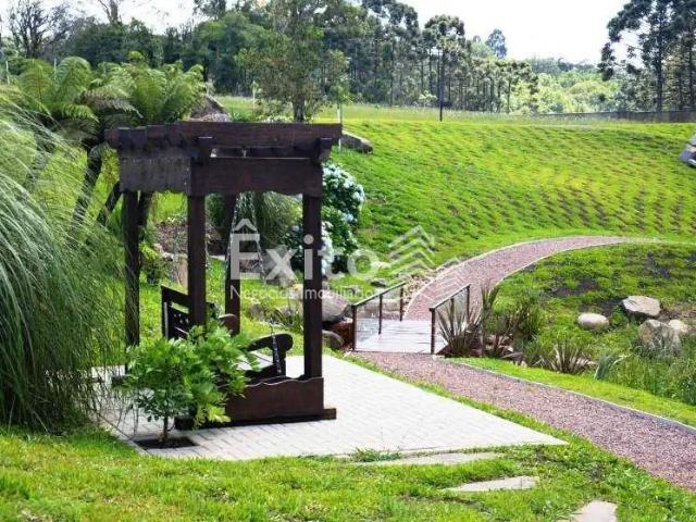 Terreno / Lote para Venda em Caxias do Sul/RS Pedancino