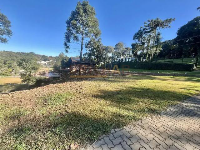 Terreno / Lote para Venda em Caxias do Sul/RS Pedancino