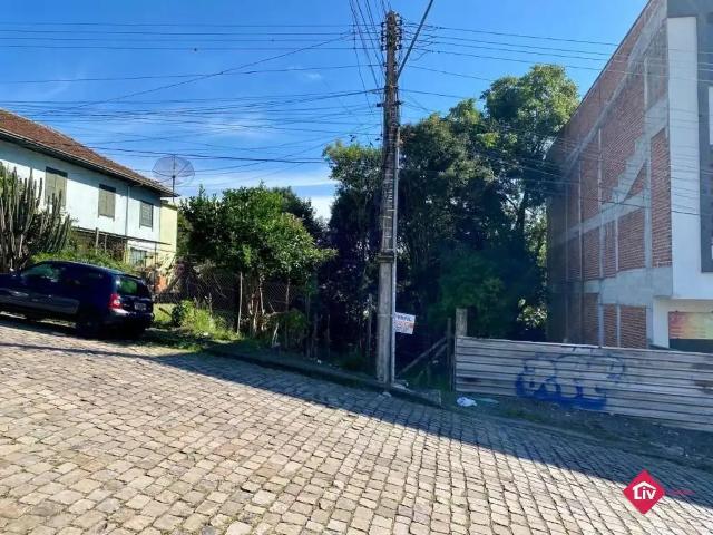 Terreno / Lote para Venda em Caxias do Sul/RS Pio X
