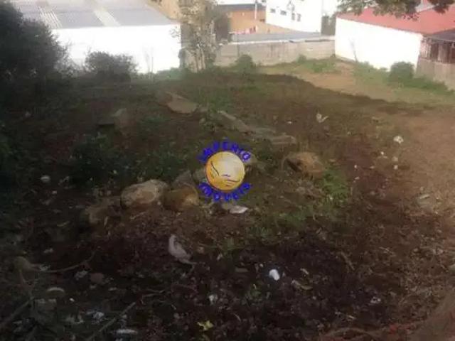 Terreno / Lote para Venda em Caxias do Sul/RS Pioneiro