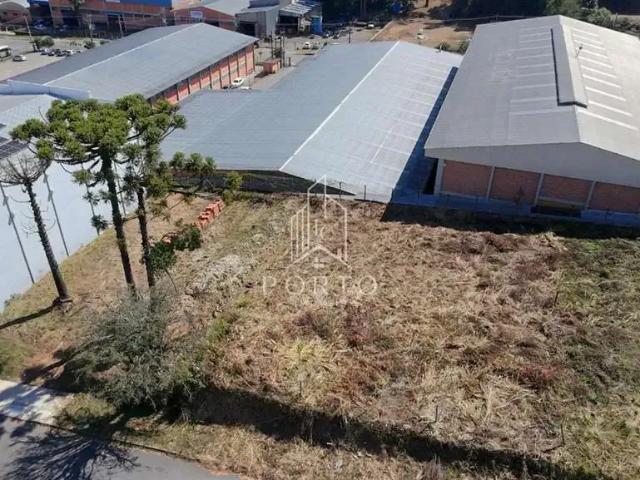 Terreno / Lote para Venda em Caxias do Sul/RS Pioneiro
