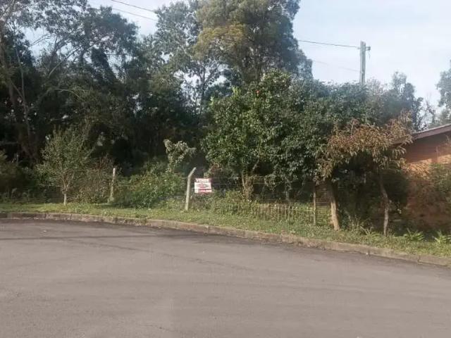 Terreno / Lote para Venda em Caxias do Sul/RS Pioneiro