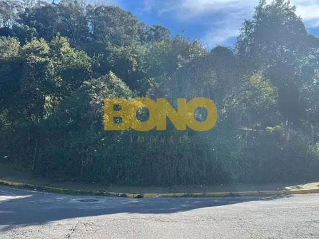 Terreno / Lote para Venda em Caxias do Sul/RS Planalto