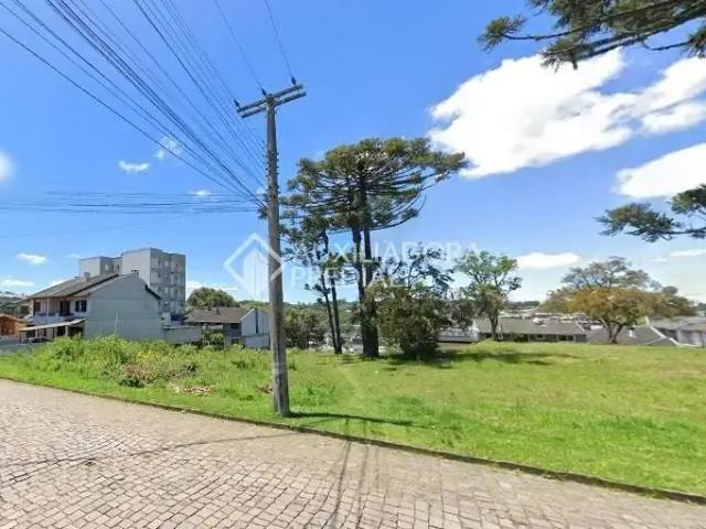 Terreno / Lote para Venda em Caxias do Sul/RS Planalto