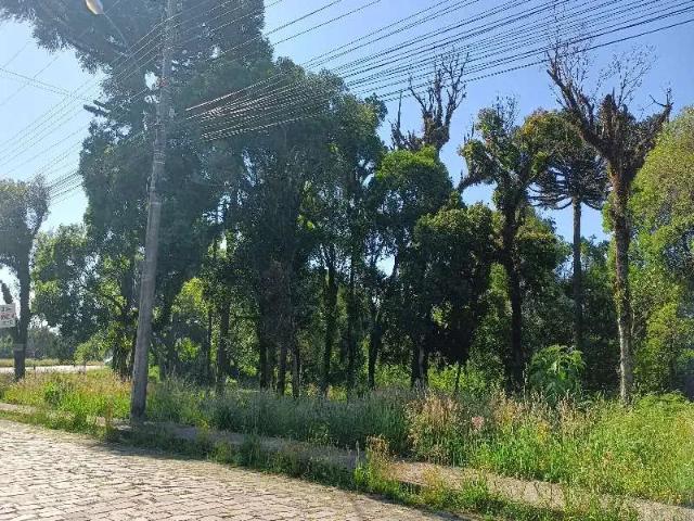 Terreno / Lote para Venda em Caxias do Sul/RS Planalto