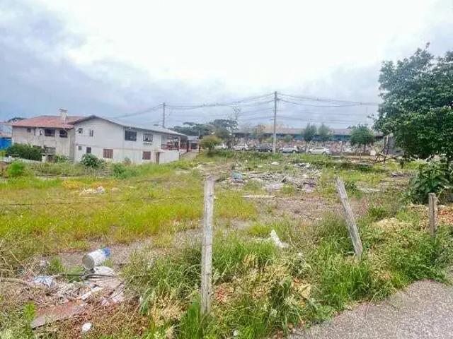 Terreno / Lote para Venda em Caxias do Sul/RS Planalto