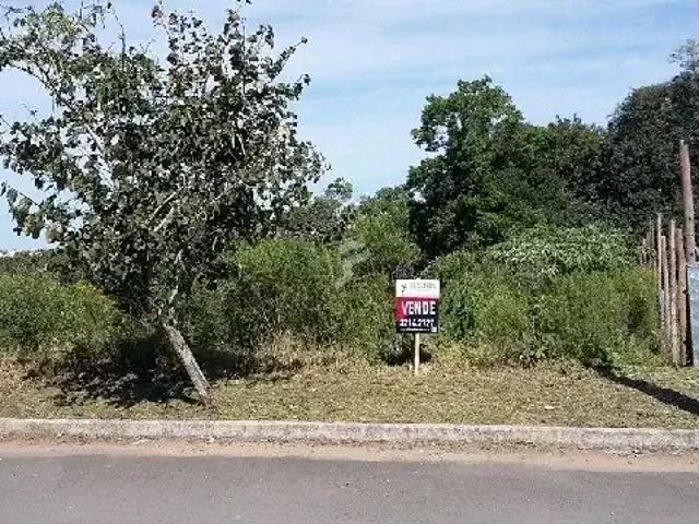Terreno / Lote para Venda em Caxias do Sul/RS Planalto