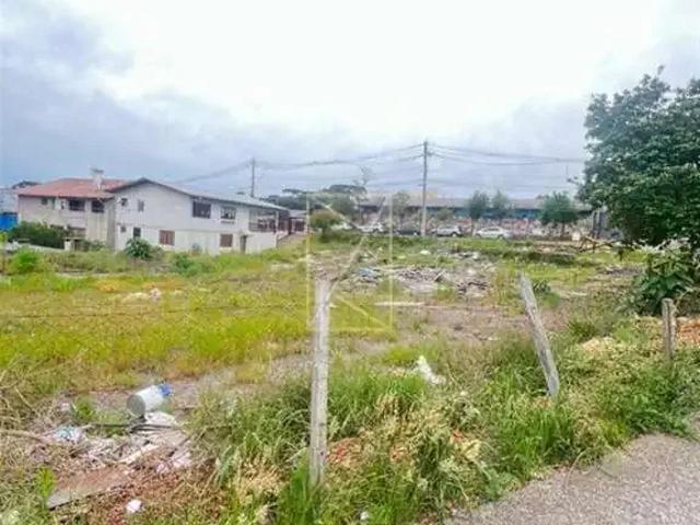 Terreno / Lote para Venda em Caxias do Sul/RS Planalto