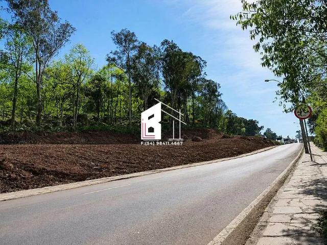 Terreno / Lote para Venda em Caxias do Sul/RS Planalto