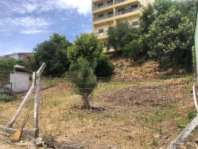 Terreno / Lote para Venda em Caxias do Sul/RS Planalto