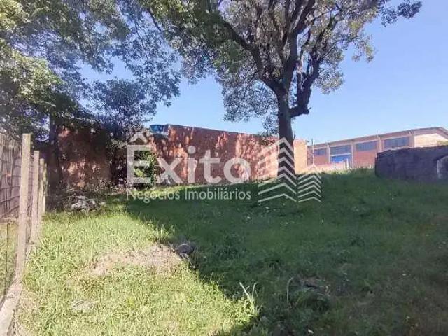 Terreno / Lote para Venda em Caxias do Sul/RS Presidente Vargas