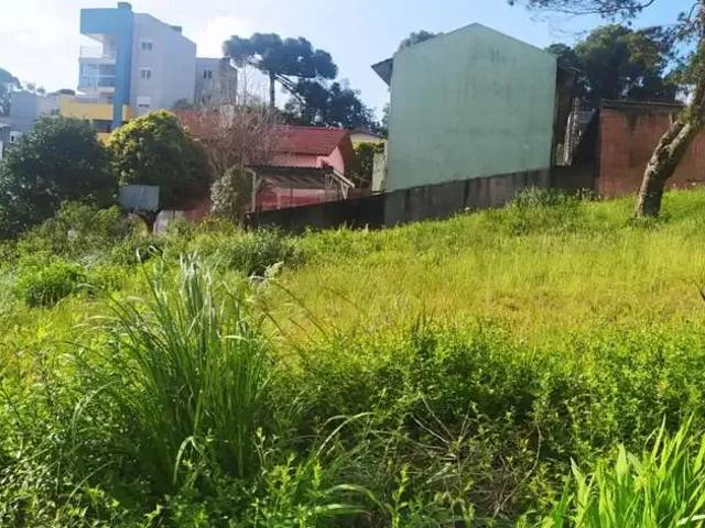 Terreno / Lote para Venda em Caxias do Sul/RS Presidente Vargas