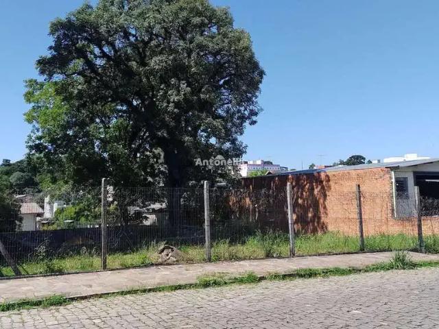 Terreno / Lote para Venda em Caxias do Sul/RS Presidente Vargas