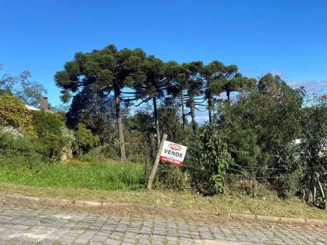 Terreno / Lote para Venda em Caxias do Sul/RS Presidente Vargas