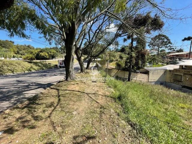 Terreno / Lote para Venda em Caxias do Sul/RS Rio Branco