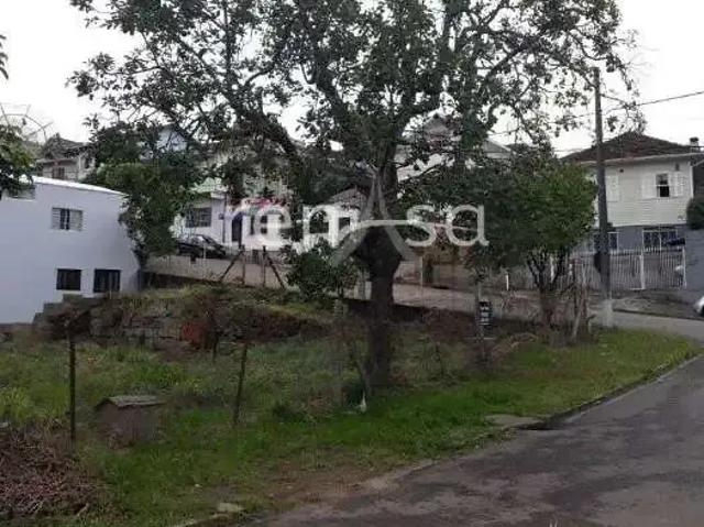 Terreno / Lote para Venda em Caxias do Sul/RS Rio Branco