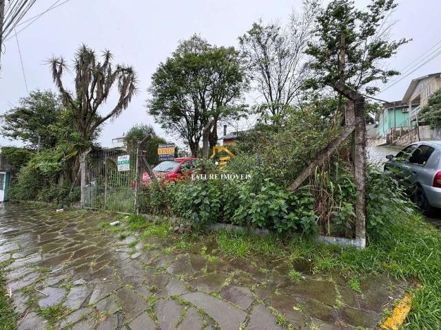 Terreno / Lote para Venda em Caxias do Sul/RS Rio Branco