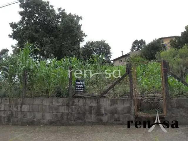 Terreno / Lote para Venda em Caxias do Sul/RS Rio Branco