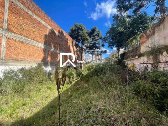 Terreno / Lote para Venda em Caxias do Sul/RS Rio Branco