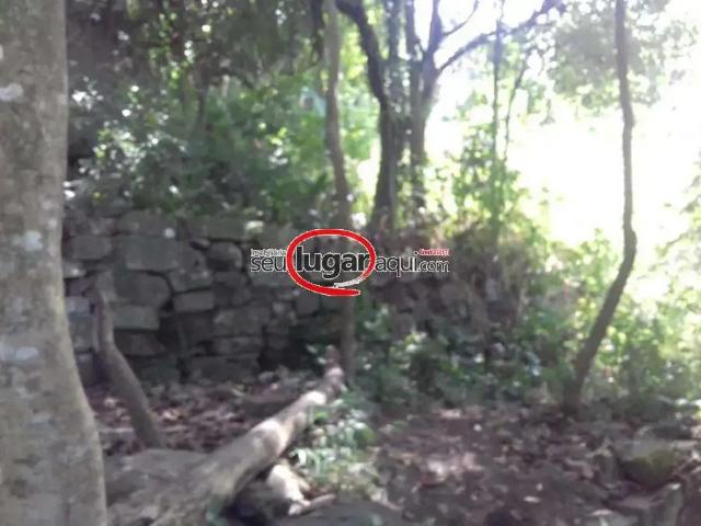 Terreno / Lote para Venda em Caxias do Sul/RS Rio Branco