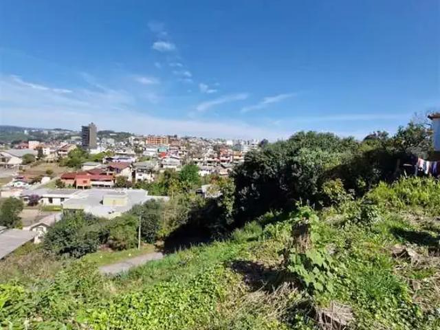 Terreno / Lote para Venda em Caxias do Sul/RS Rio Branco