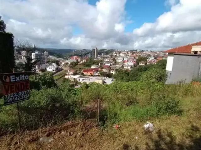 Terreno / Lote para Venda em Caxias do Sul/RS Rio Branco