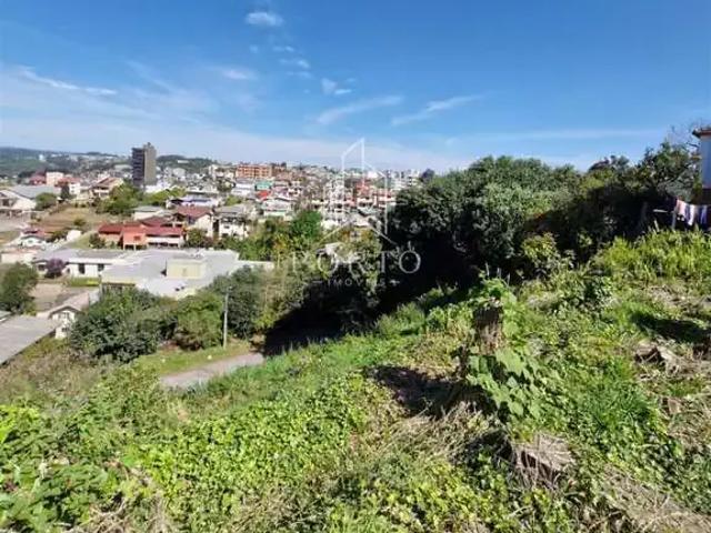 Terreno / Lote para Venda em Caxias do Sul/RS Rio Branco
