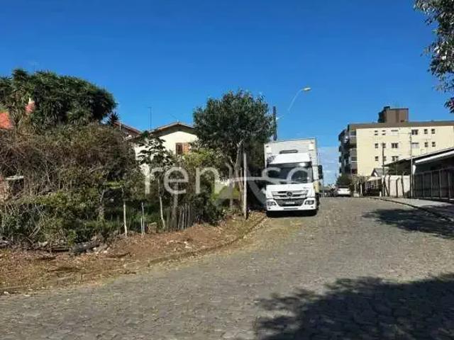 Terreno / Lote para Venda em Caxias do Sul/RS Rio Branco