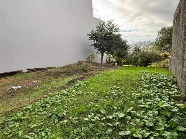 Terreno / Lote para Venda em Caxias do Sul/RS Rio Branco
