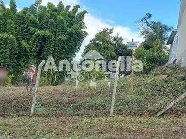 Terreno / Lote para Venda em Caxias do Sul/RS Treviso