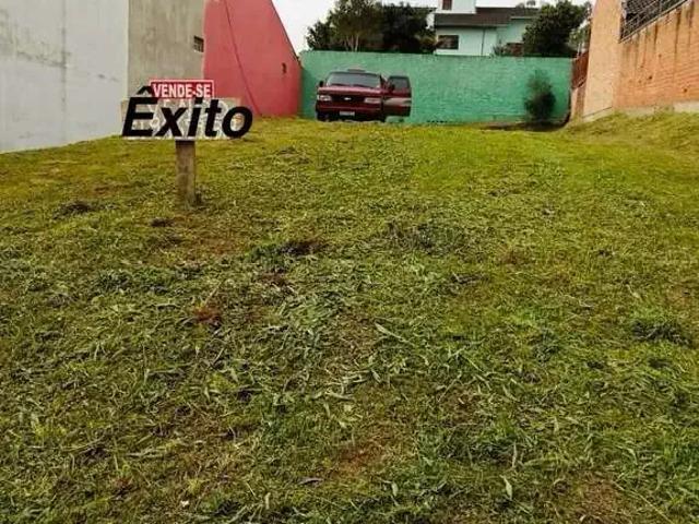 Terreno / Lote para Venda em Caxias do Sul/RS Treviso