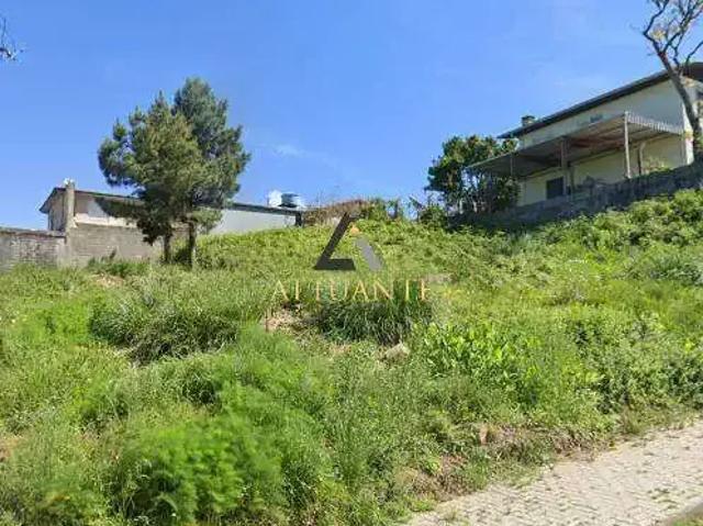 Terreno / Lote para Venda em Caxias do Sul/RS Treviso