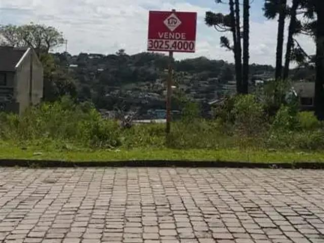 Terreno / Lote para Venda em Caxias do Sul/RS Vila Verde