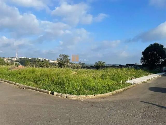 Terreno / Lote para Venda em Caxias do Sul/RS Vila Verde
