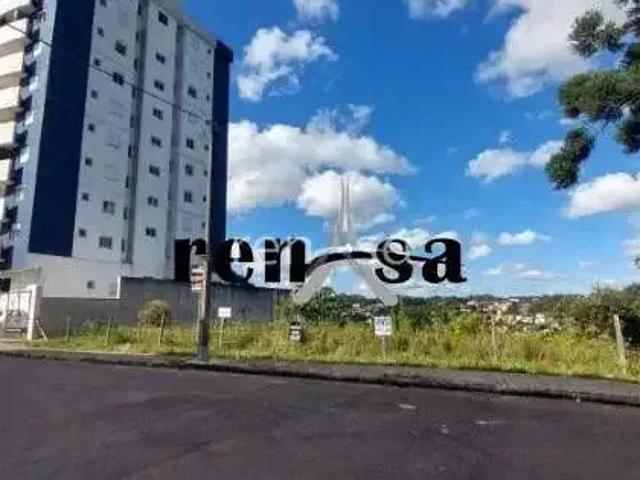 Terreno / Lote para Venda em Caxias do Sul/RS Vila Verde