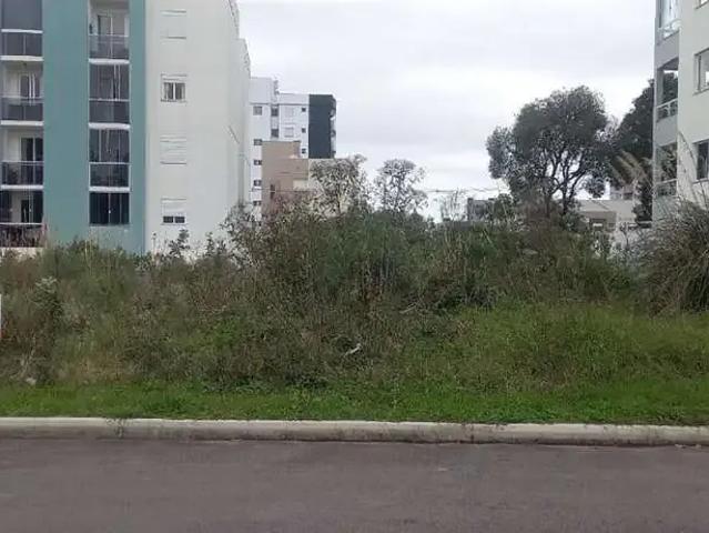 Terreno / Lote para Venda em Caxias do Sul/RS Vila Verde