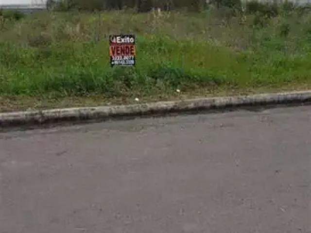 Terreno / Lote para Venda em Caxias do Sul/RS Vila Verde
