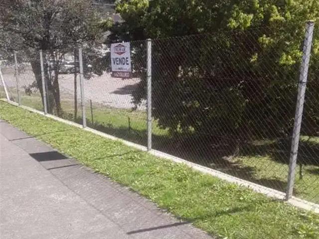 Terreno / Lote para Venda em Caxias do Sul/RS Vila Verde