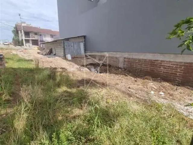 Terreno / Lote para Venda em Caxias do Sul/RS Vila Verde